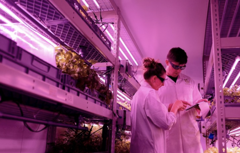 High-tech horticulture in Australia: What could it look like? - RMCG